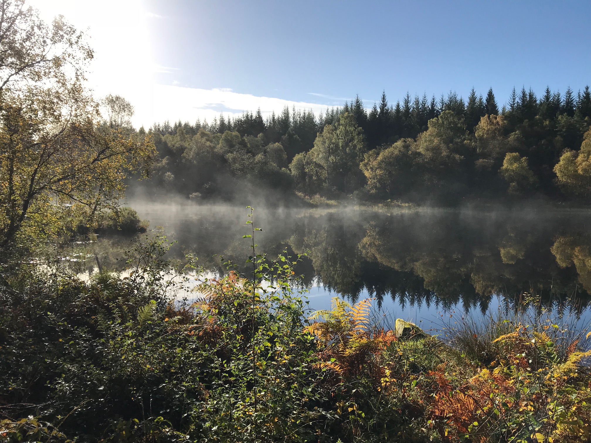 Loch Ard Sculpture Trail - family walk/cycle; download map